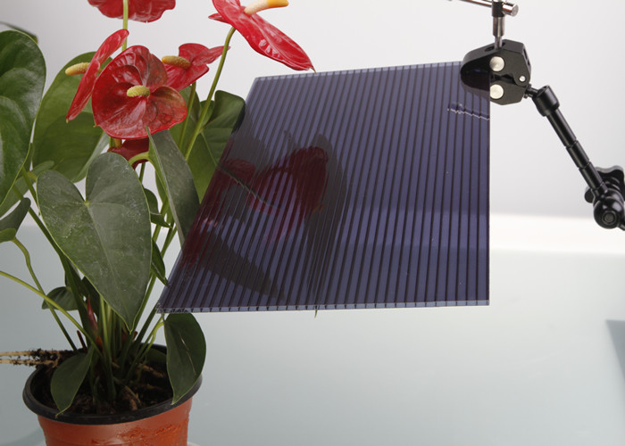 Purple Twin Wall Polycarbonate Roofing Sheets R Structure Sound Insulation